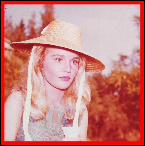 Picture of Tuesday Weld