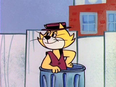 Picture of Top Cat