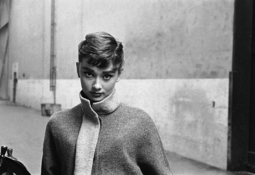 Picture of Audrey Hepburn