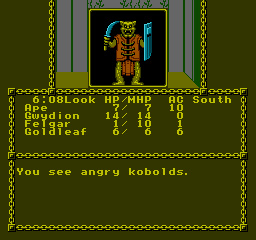 Picture of Advanced Dungeons and Dragons: Pool of Radiance
