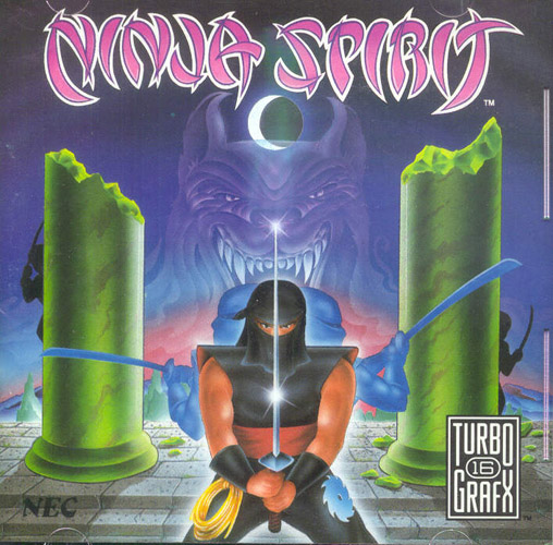 Picture of Ninja Spirit