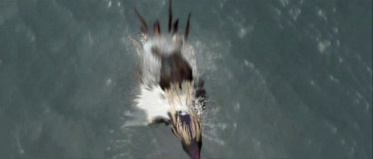 The Chronicles of Narnia: The Voyage of the Dawn Treader picture