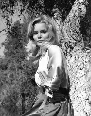 Picture of Tuesday Weld