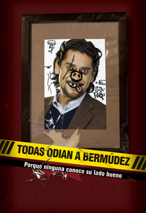 Picture of Bermúdez