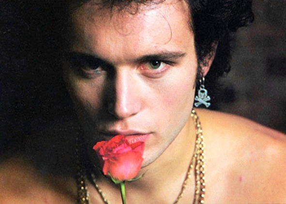 Picture of Adam Ant