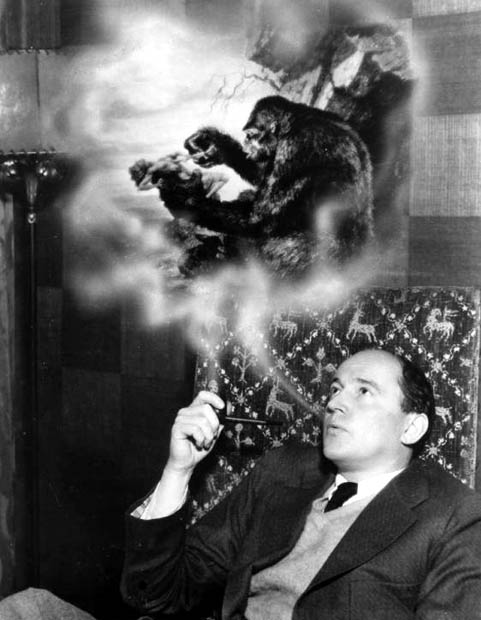 Picture of King Kong