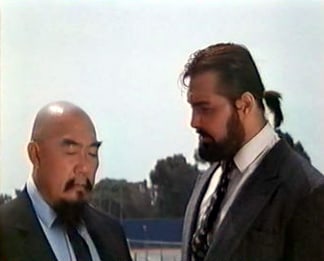 Picture of Samurai Cop