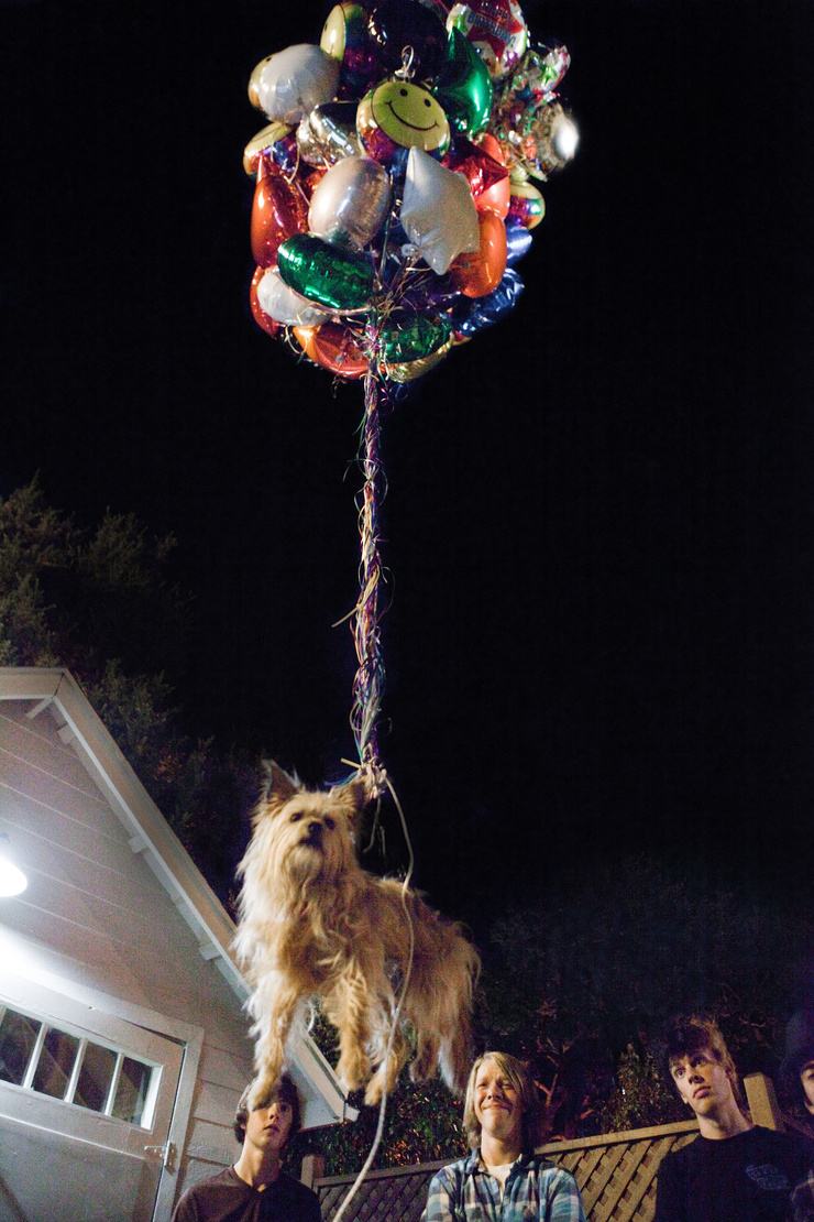 Picture of Project X