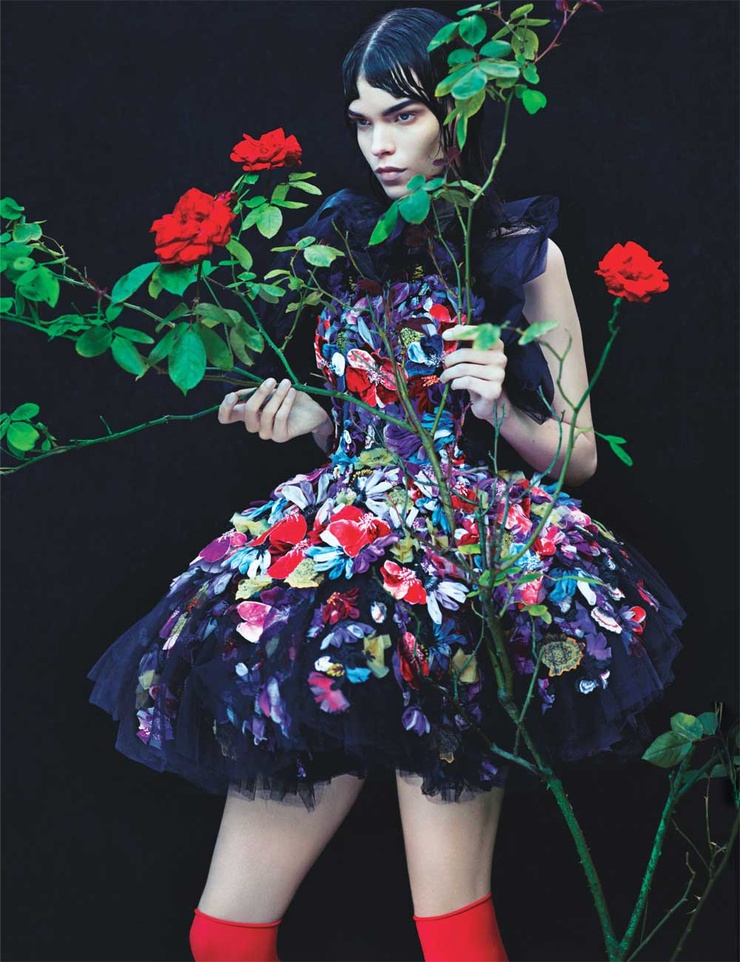 Meghan Collison image