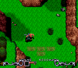 Picture of Brain Lord