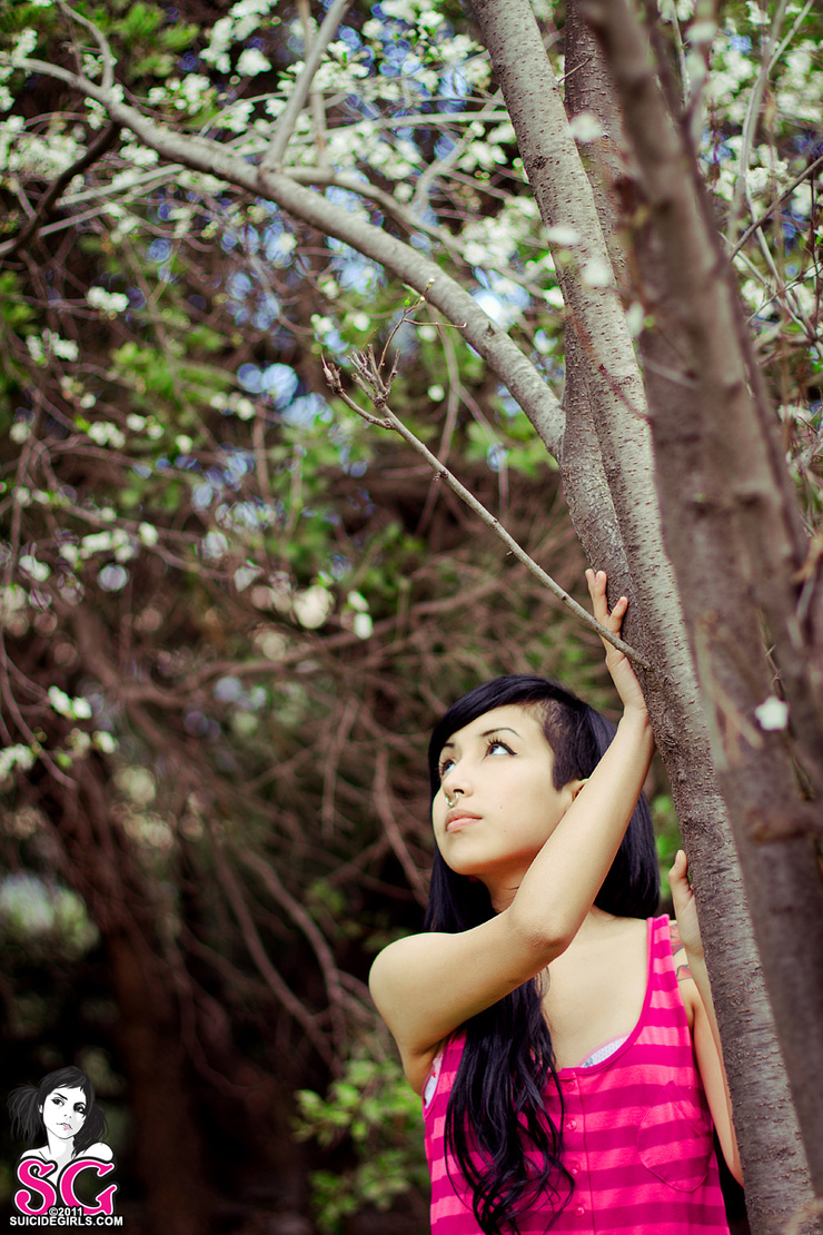 Picture of Stigmata Suicide