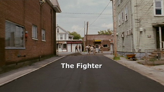 Picture of The Fighter
