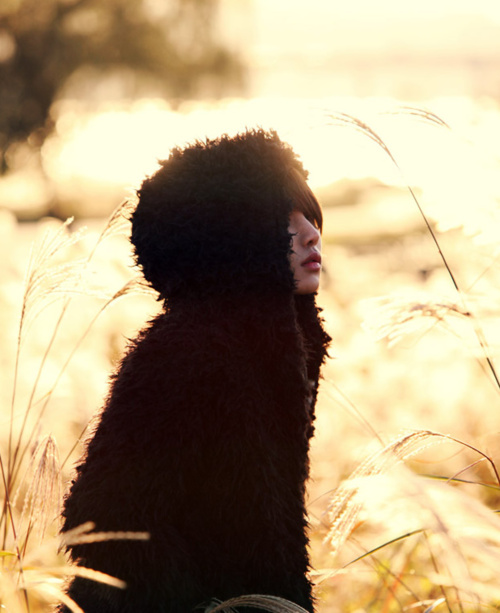 Picture of Lee Chi Hoon