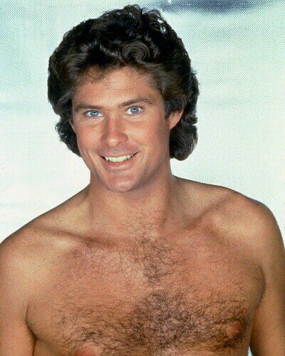 David Hasselhoff picture