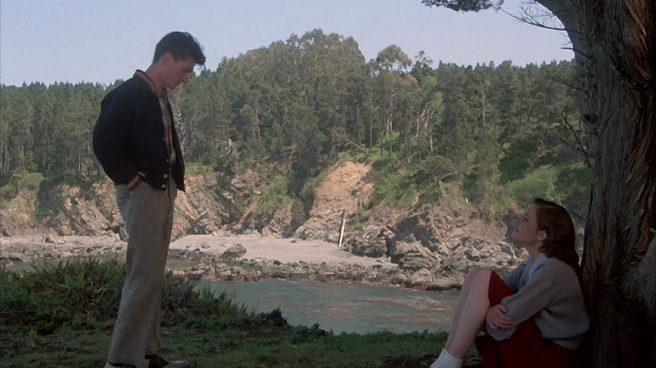 Picture of Racing with the Moon