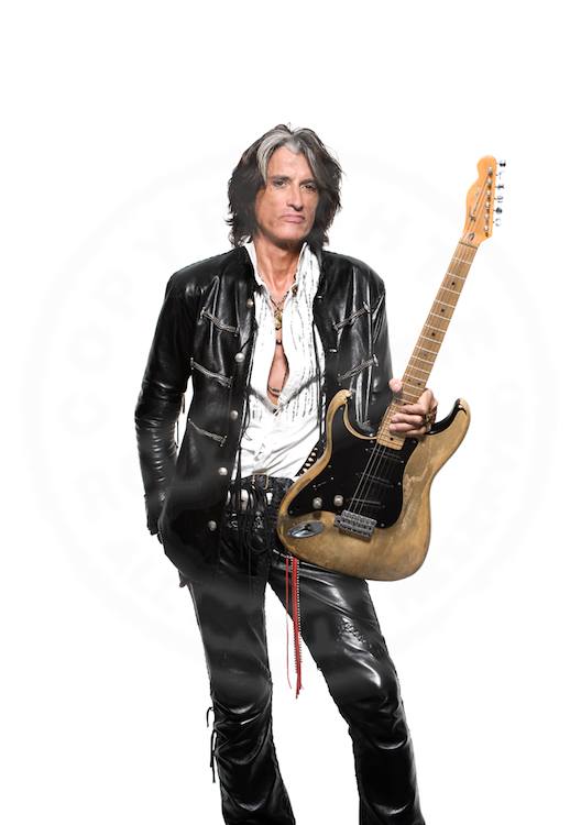 Picture of Joe Perry