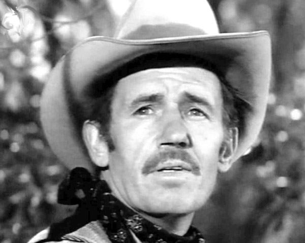 Picture of Steve Raines