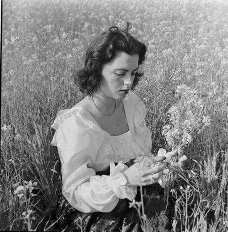 Image of Faith Domergue