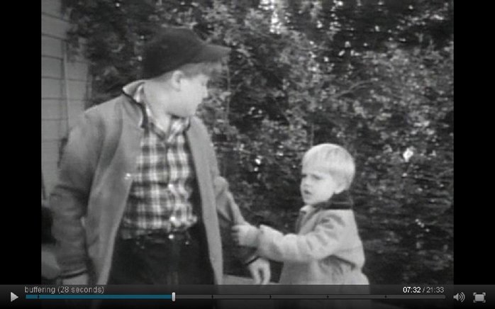 Bring Back the Beaver