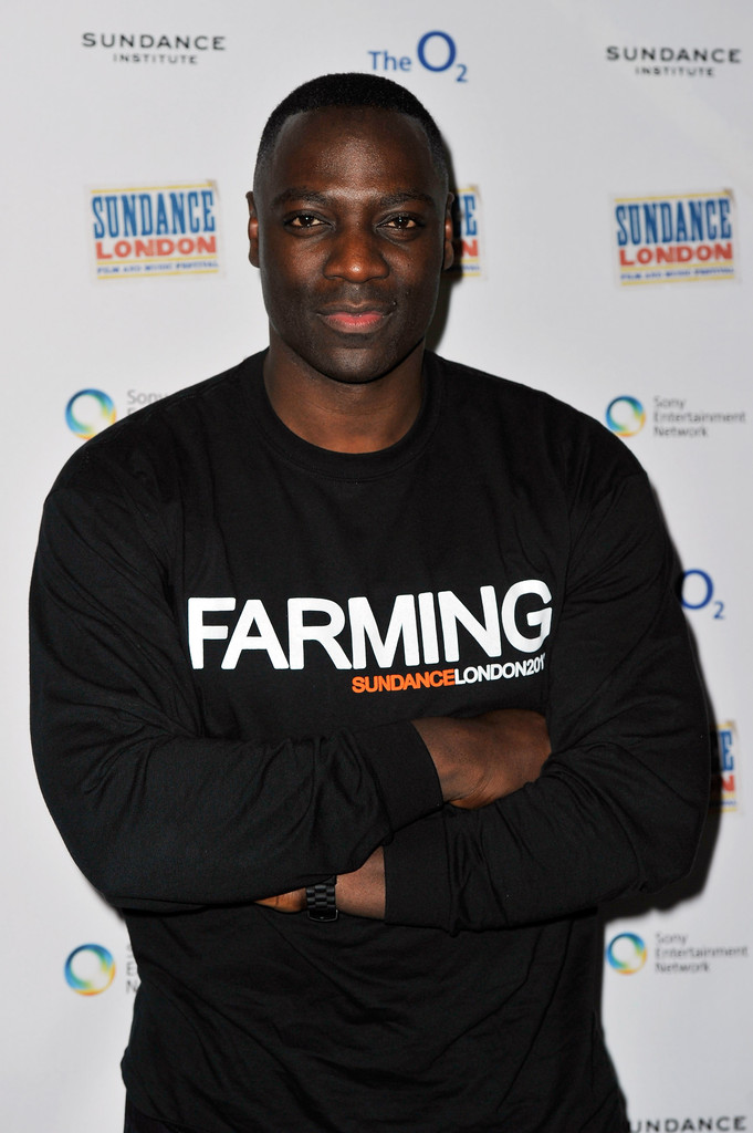 Picture of Adewale Akinnuoye-Agbaje