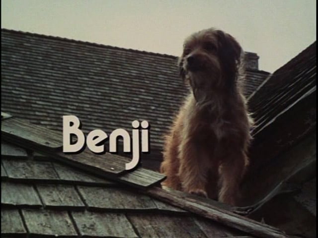 Picture of Benji