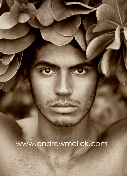 Andrew Melick Photography
