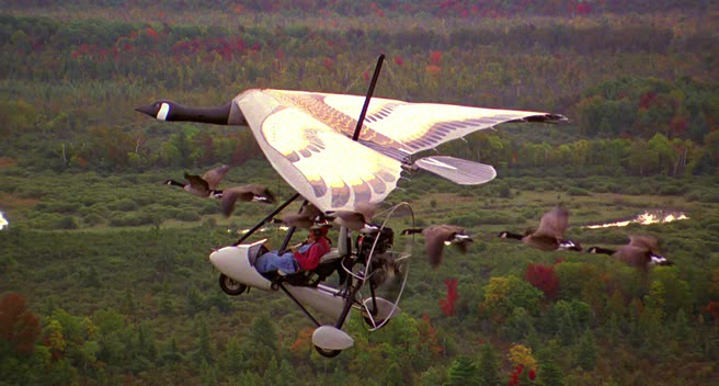 Fly Away Home image