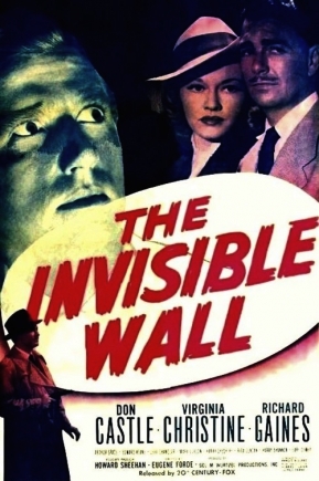 Picture of The Invisible Wall