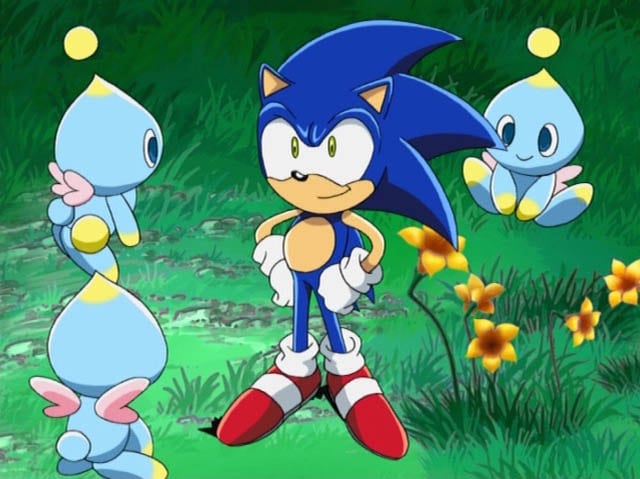 Picture of Sonic X