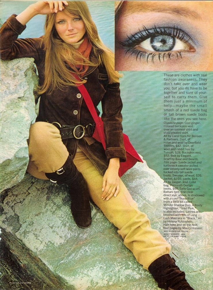 Picture of Cheryl Tiegs