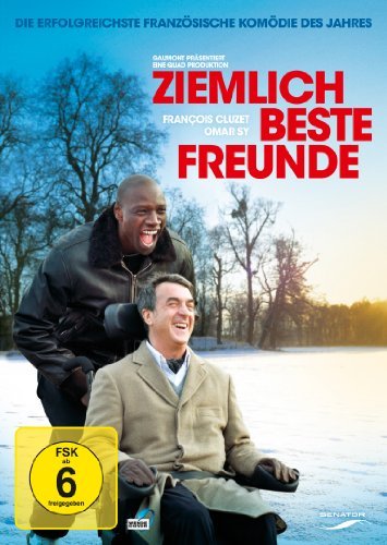 Picture of The Intouchables