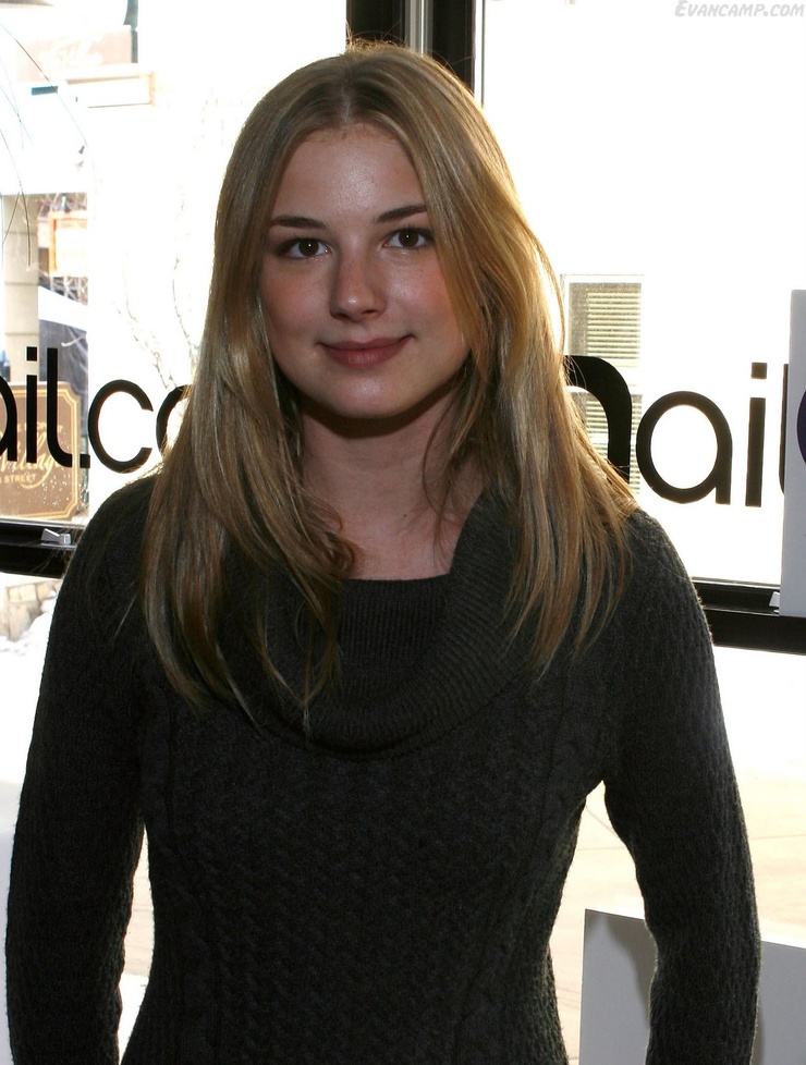 Picture of Emily VanCamp