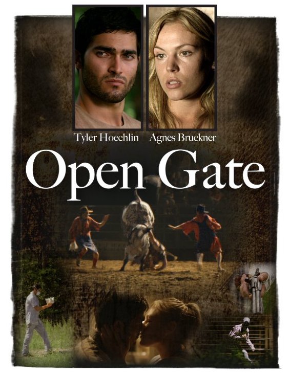 Picture of Open Gate