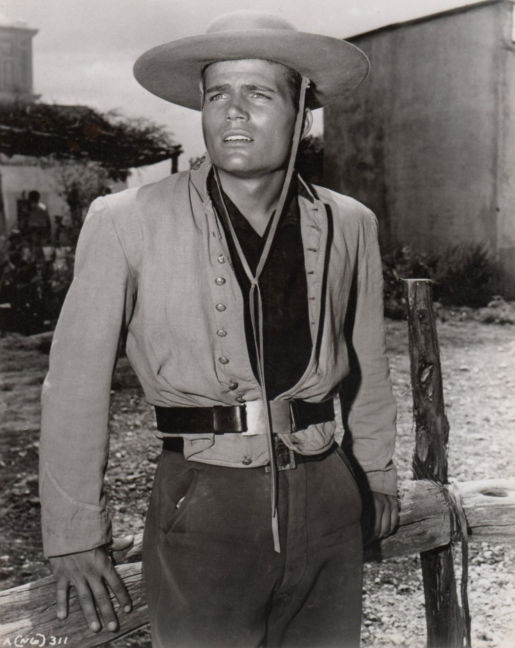 Patrick Wayne picture