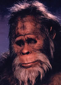 Picture of Harry and the Hendersons