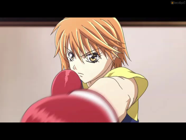 Picture of Skip Beat!