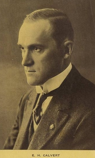 E.H. Calvert picture
