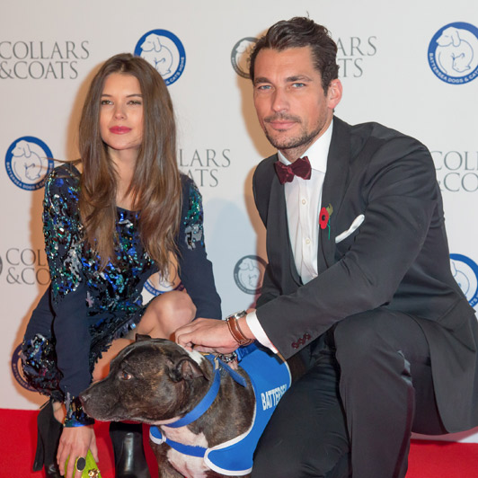 Picture of Sarah Ann Macklin