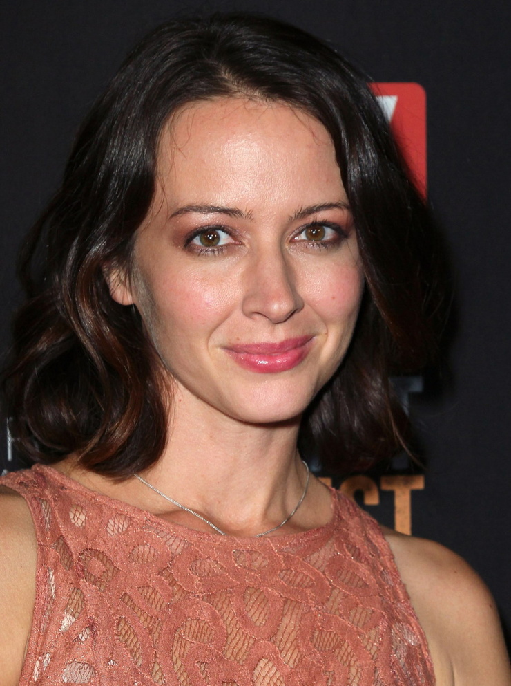 Picture of Amy Acker