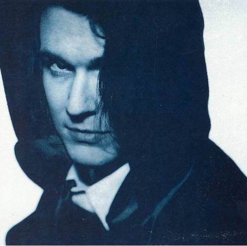 Picture of David Sylvian