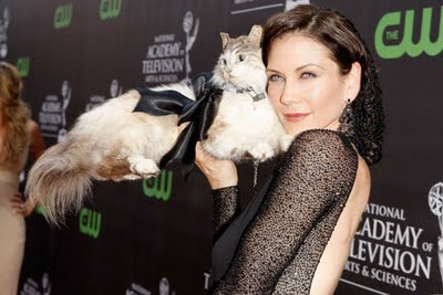 Picture of Stacy Haiduk