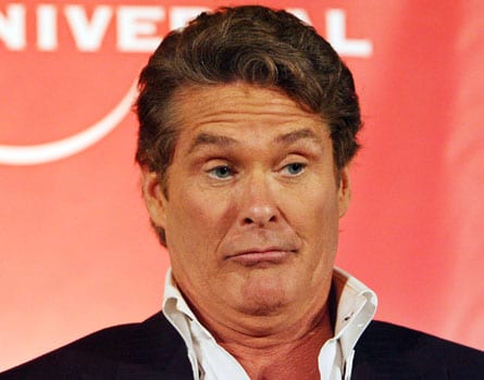 Picture of David Hasselhoff