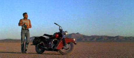 Picture of Desert Heat