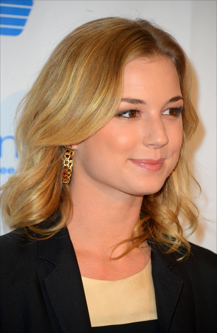Picture of Emily VanCamp