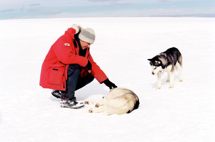 Picture of Eight Below