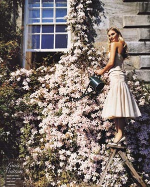 Picture of Erica Redling