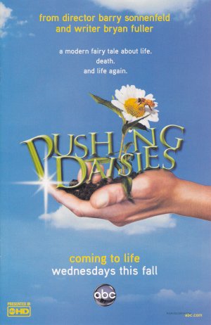 Picture of Pushing Daisies