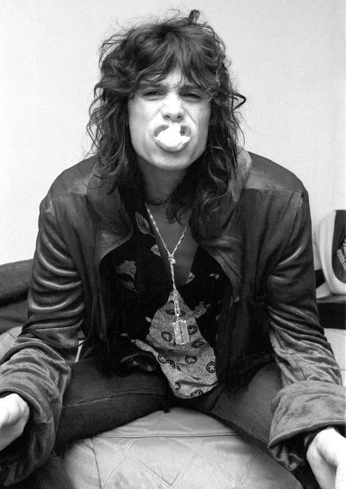 Picture of Steven Tyler