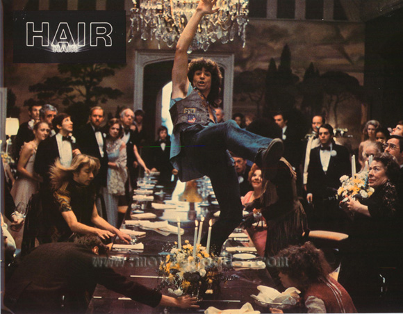 Picture of Hair (1979)