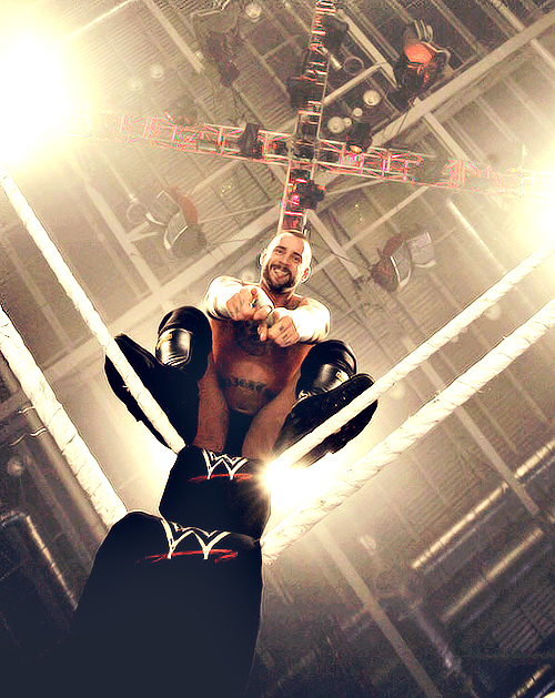 Picture of C.M. Punk